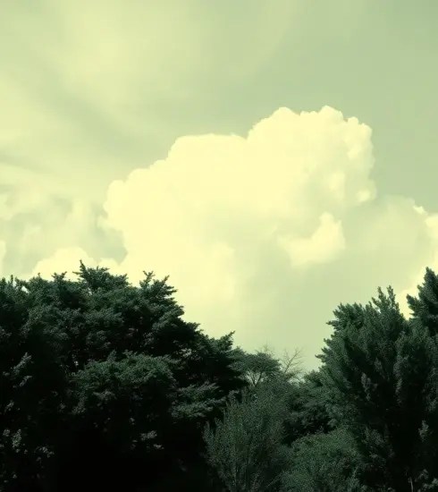 La Niña e saúde: entenda por que o fenômeno aumenta gripes e dores de ...